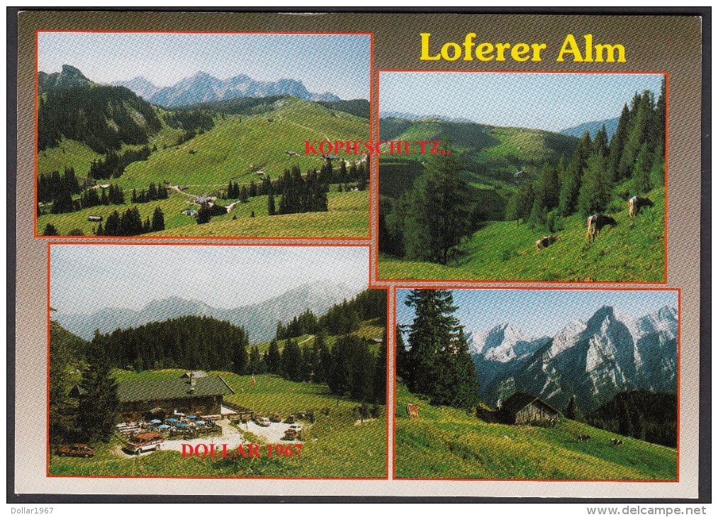 Österreich - Loferer Alm 1500 m Salzburger 4-Bild-Foto NOT used.. Scans ...