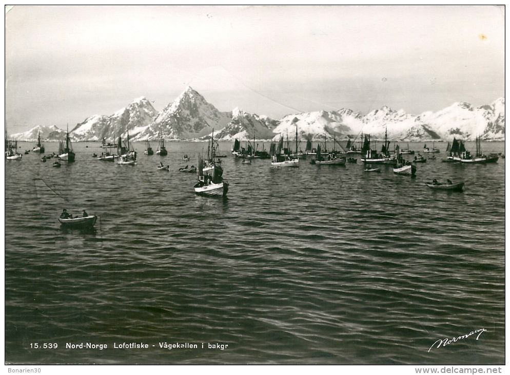 Norvège - CPSM NORVEGE NORD NORGE LOFOTFISKE VAGEALLEN I BAKGR