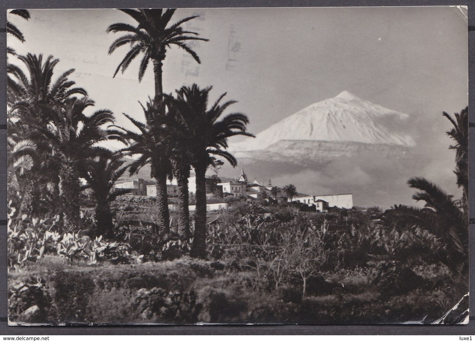 Tenerife - SPAIN , TENERIFE , OLD POSTCARD