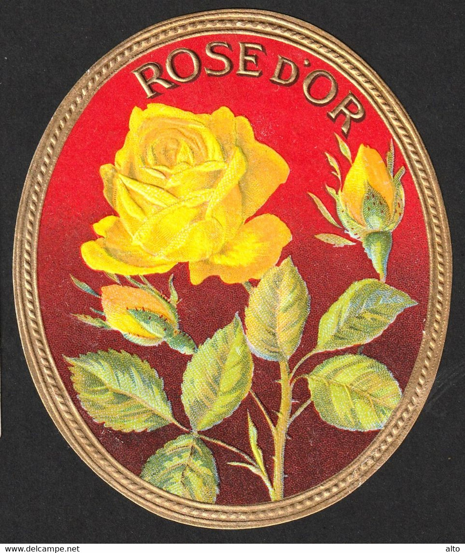 Etiquettes - Cigar Label, Tabak- Zigarrendosen Etikett, Lytho, ROSE D'OR