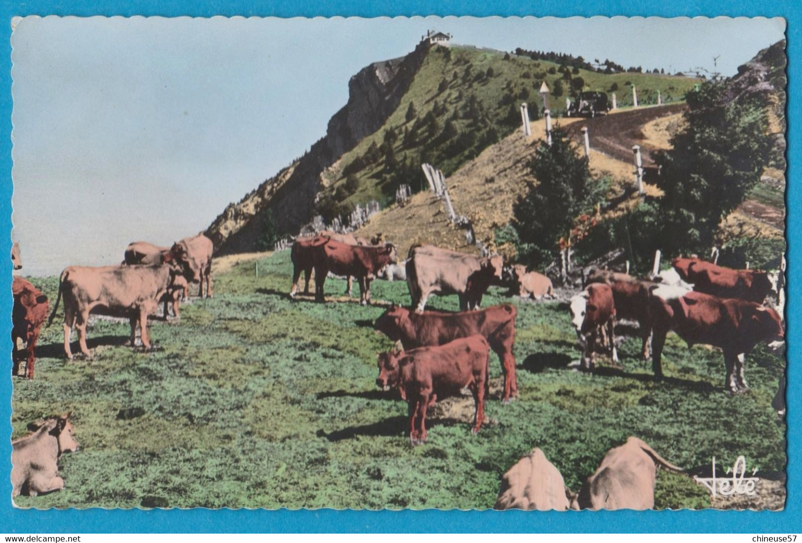 Aix les Bains - AIX LES BAINS Les troupeaux du Mt -Revard La route du ...