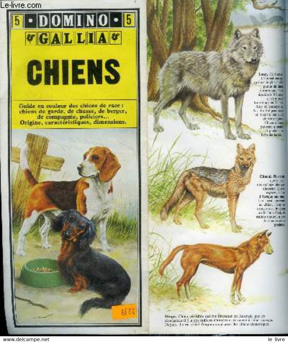 L’objet de collection que vous recherchez est sur Delcampe