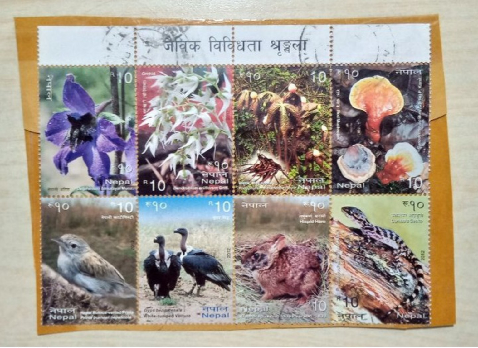 Népal - NEPAL USED 8 STAMPS ON PAPER MUSHROOMS FLOWERS BIRDS SPARROW